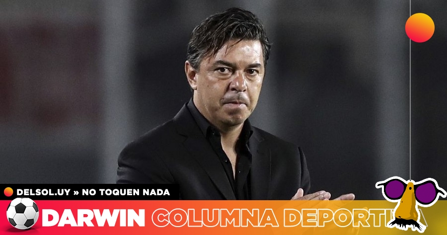 Darwin explica cómo ofrecer el cargo a Gallardo | No Toquen Nada ...