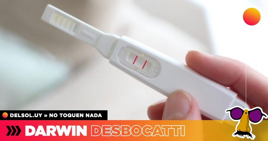 Darwin lee comunicado de Transhotel (pronúnciese Tranyotel), con ...