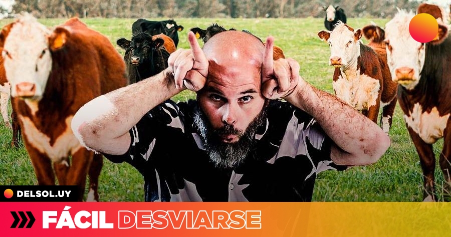 El Sapo se convirtió en La Vaca | Facil Desviarse | Arranque DelSol