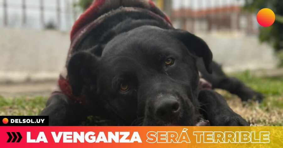 Animales útiles y perjudiciales | La Venganza sera terrible | Segmento ...